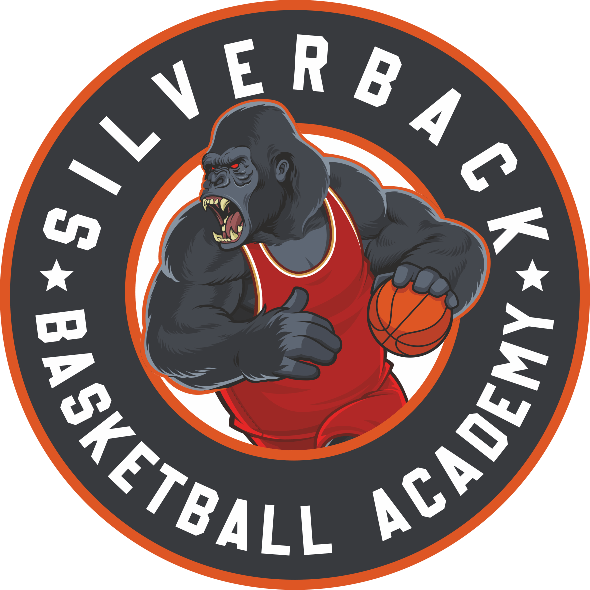 Silverback Basketball Academy in Tübingen